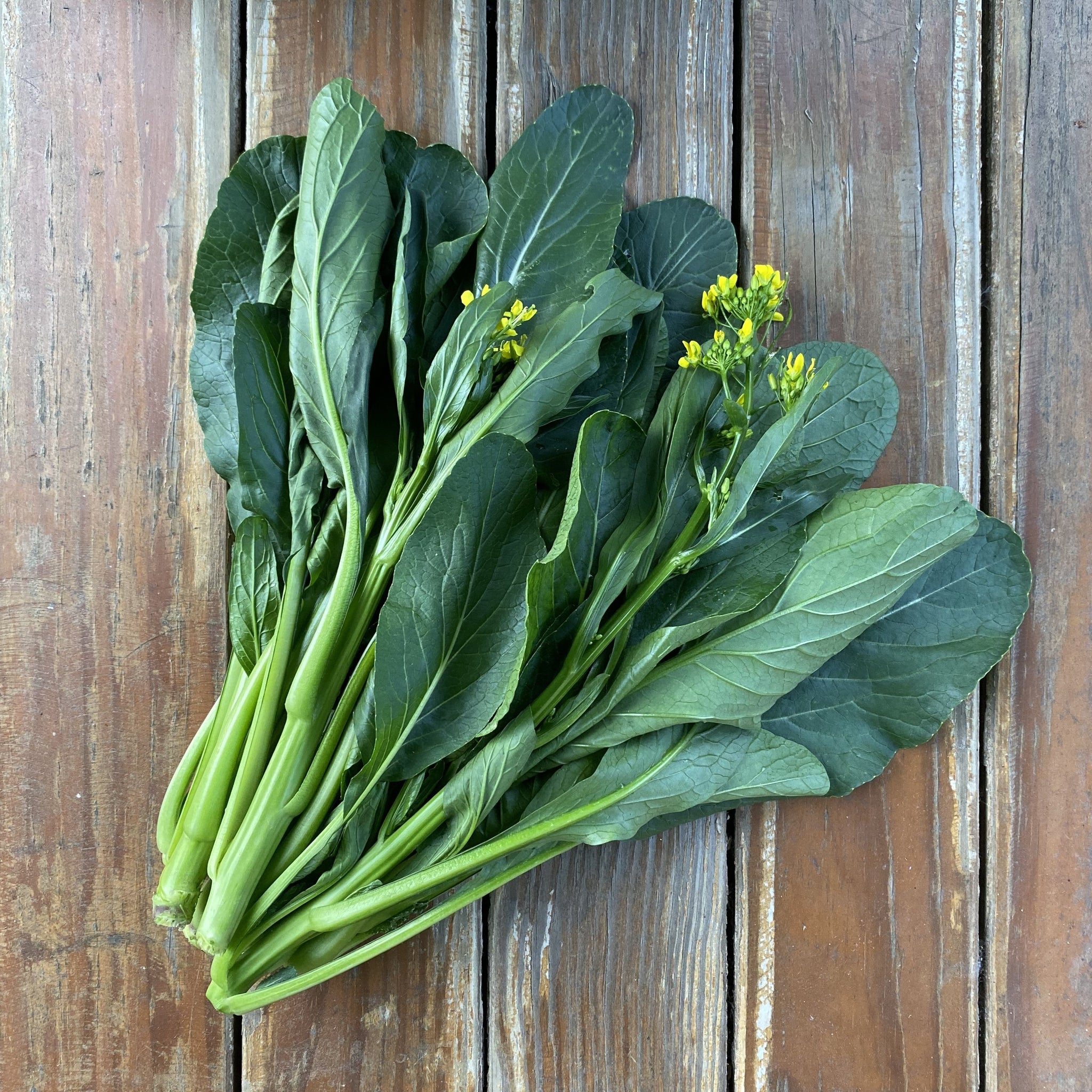 Choi Sum 60 days – cloverseedretail